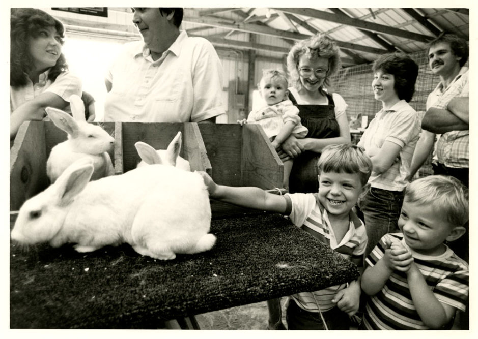 Lebanon - Rabbit Judging Lebanon County 4H Fair - Cumberland County ...